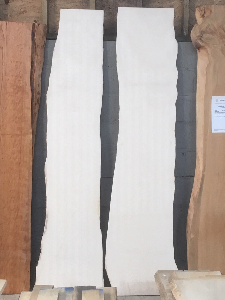 Your Guide to Pale Coloured Timbers | Thorogood