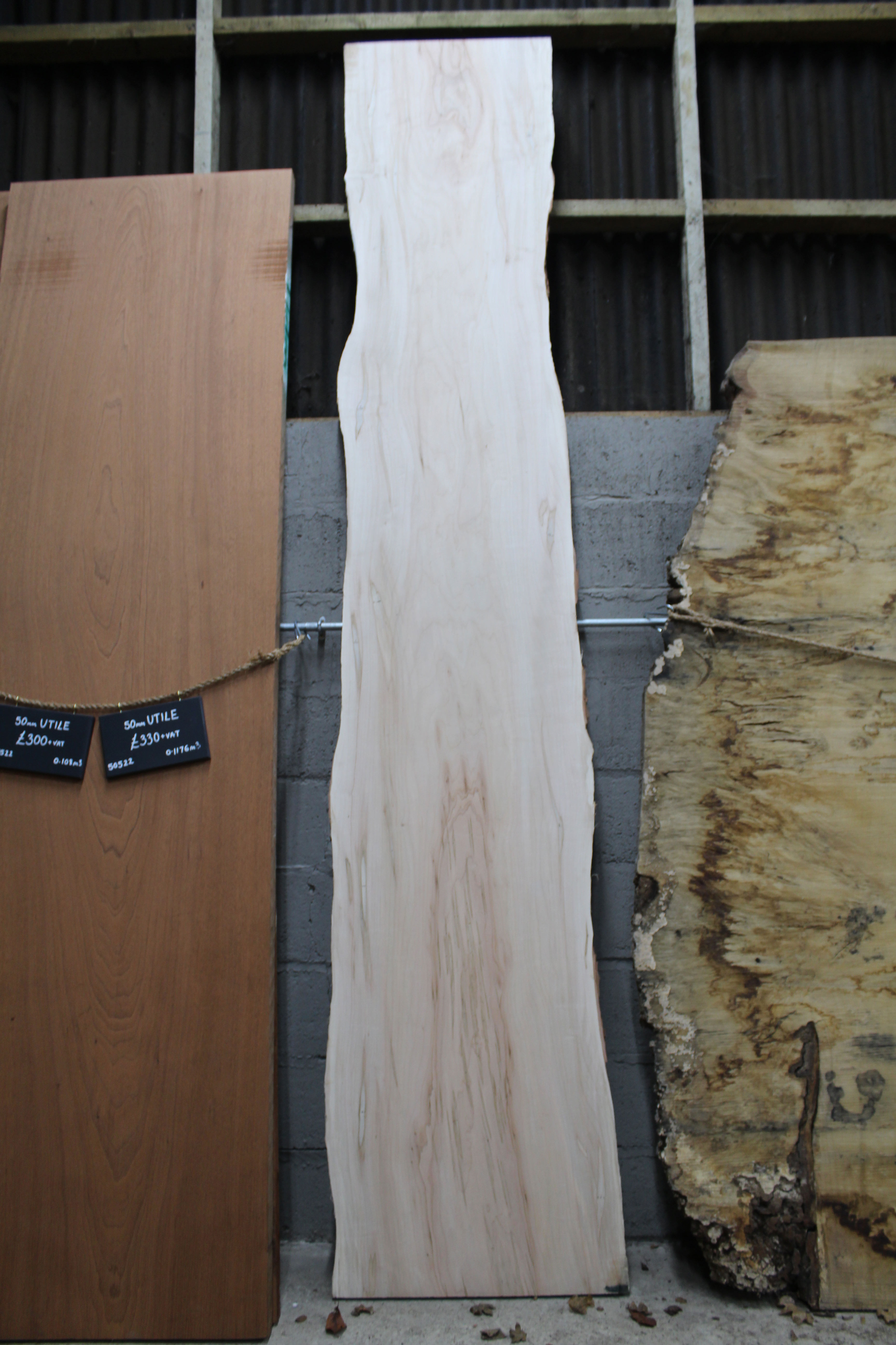 Ambrosia Maple | Thorogood